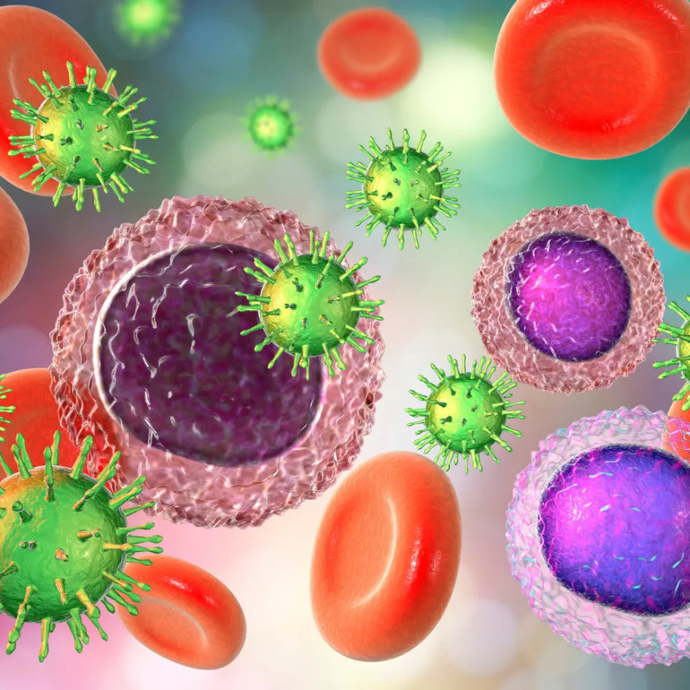 Cellular Health & Immunity – Science of Strengthening Defenses